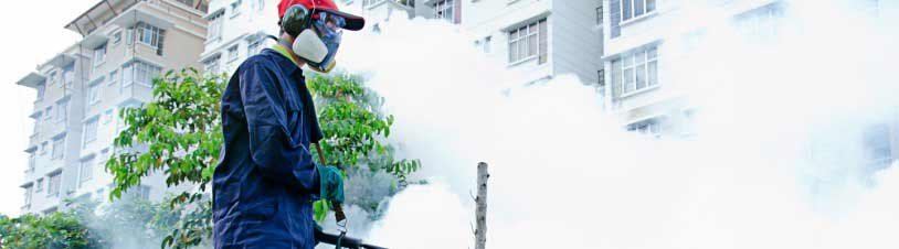 Roseville pest control - Mobley Pest Services in Roseville