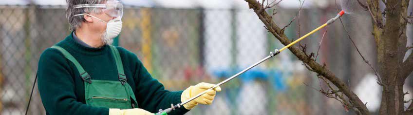 Roseville pest control - Mobley Pest Services in Roseville